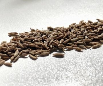 What-does-Cumin-Taste-Like | Spice and Life