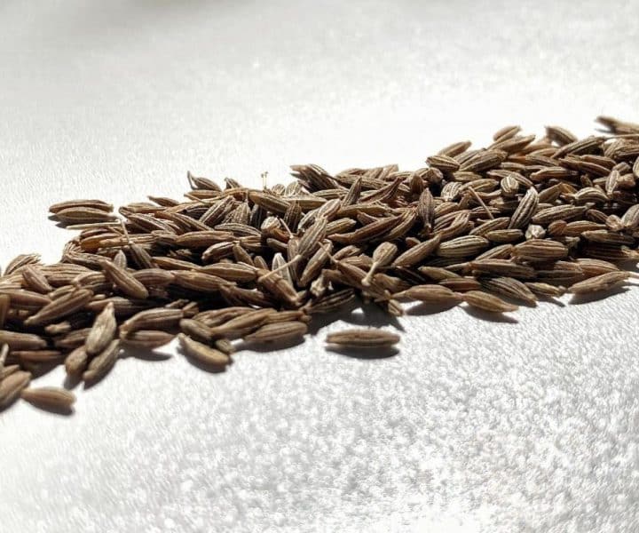 What-does-Cumin-Taste-Like | Spice and Life