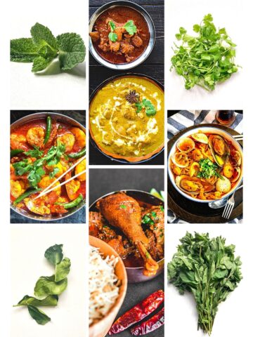 Curry dishes from around the world | Spice and Life