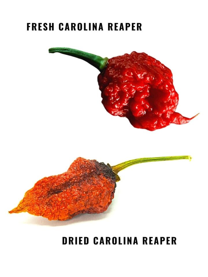 Carolina Reaper: The Hottest Chili on Earth | Spice and Life