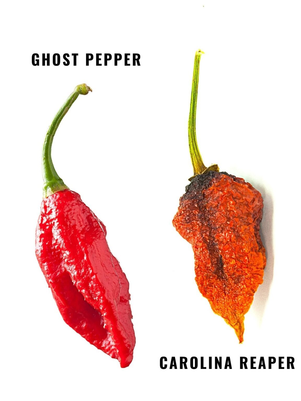 Ghost Pepper: The Perfect Chili For Daredevils | Spice and Life