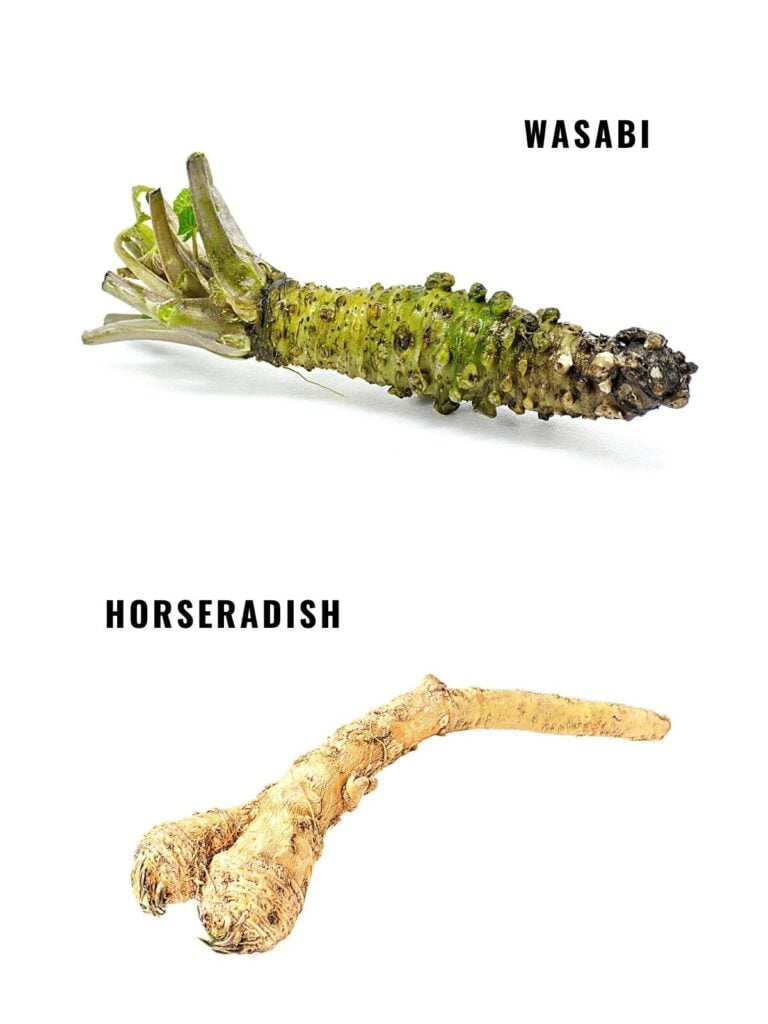 What is Wasabi and How to Make it from Scratch | Spice and Life