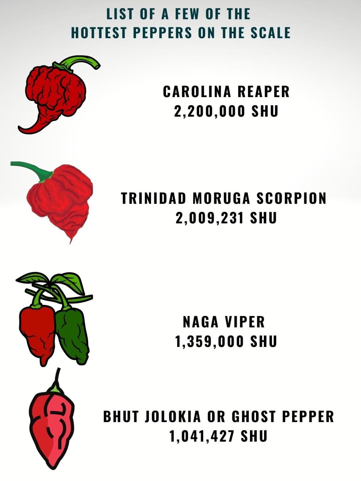 The Scoville Scale: A Comprehensive Guide | Spice and Life