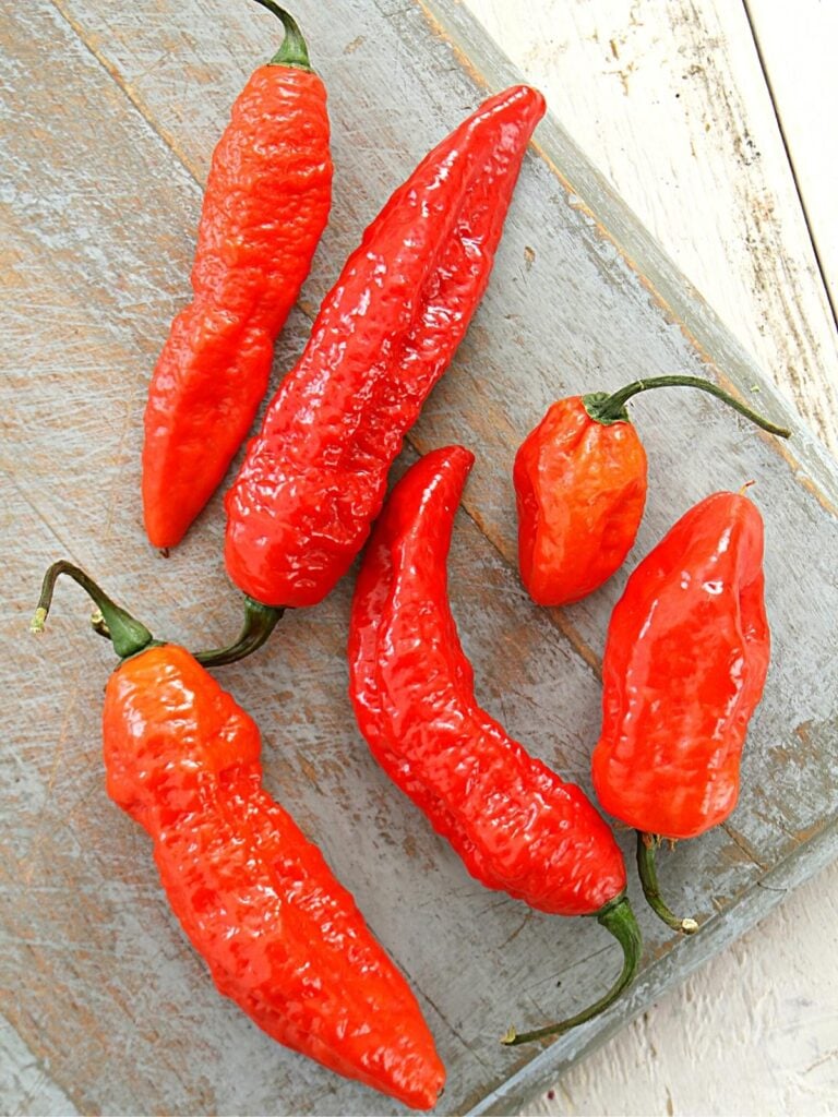 The Naga Viper Pepper: A Fiery Legend Unveiled | Spice and Life