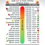 The Scoville Scale: A Comprehensive Guide | Spice and Life