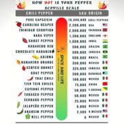The Scoville Scale: A Comprehensive Guide | Spice and Life