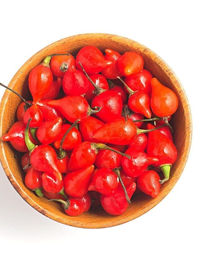 Cayenne Pepper: The Most Popular Spice | Spice and Life