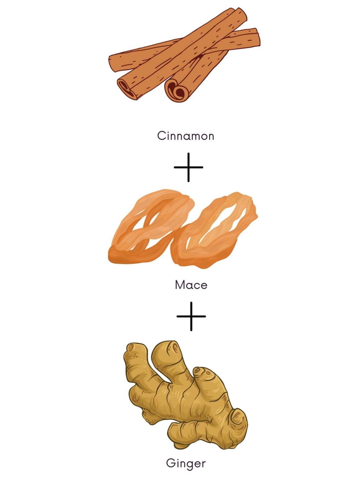 Chefs' Best Kept Secret: Homemade Cardamom Substitute