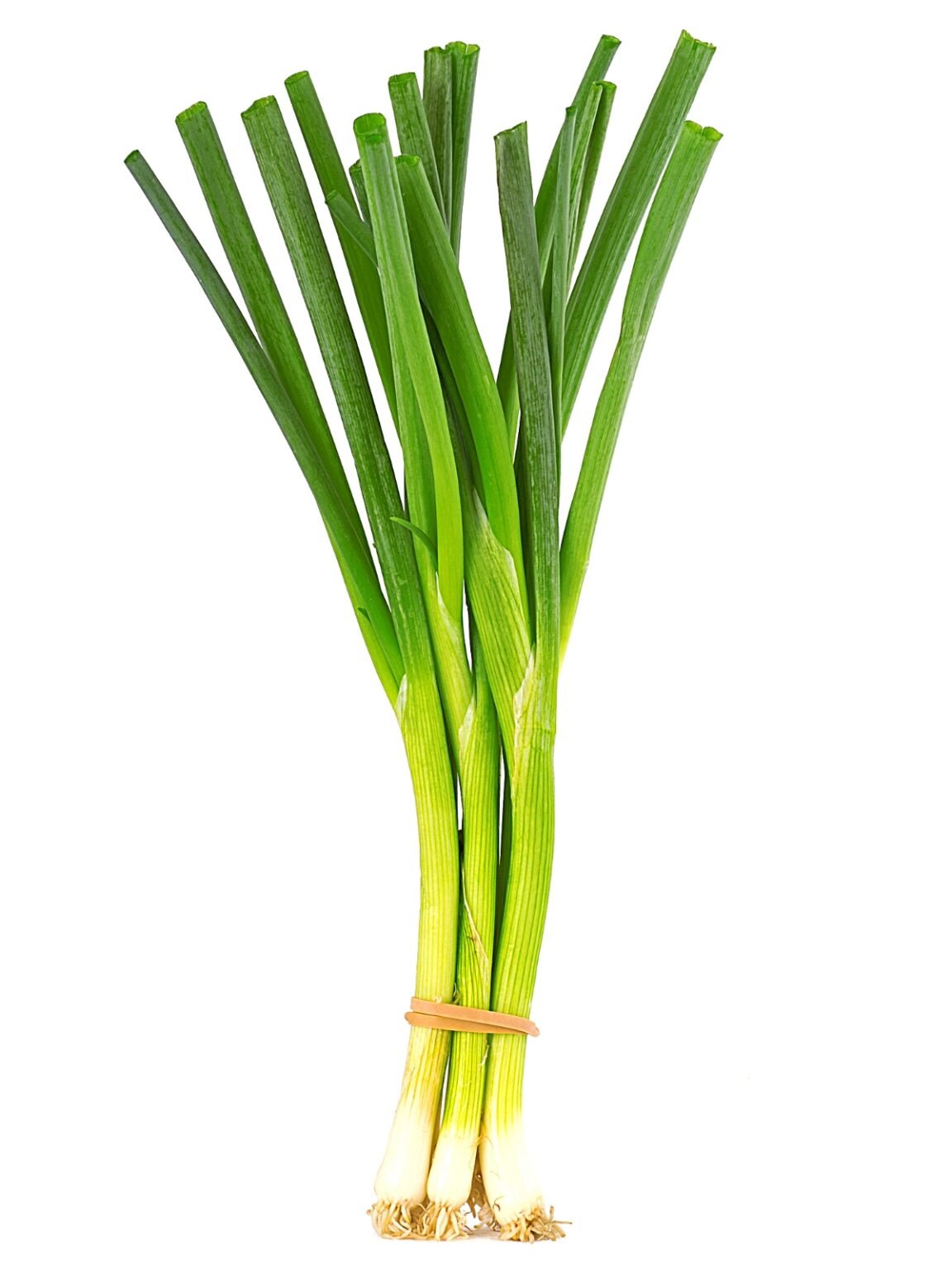 What Are Scallions? Everything You Need to Know | Spice and Life