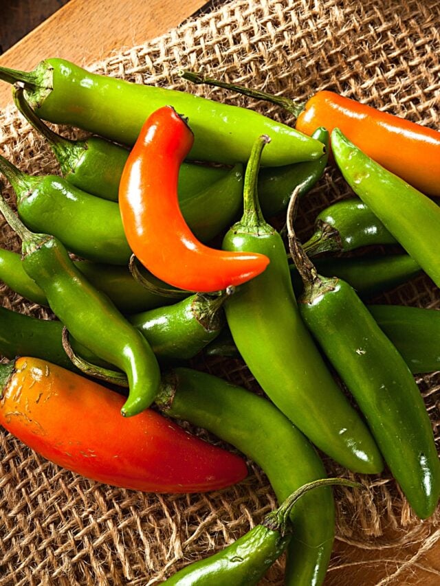 From Mild to Wild: Exploring Heat and Flavor of Serrano Pepper | Spice ...