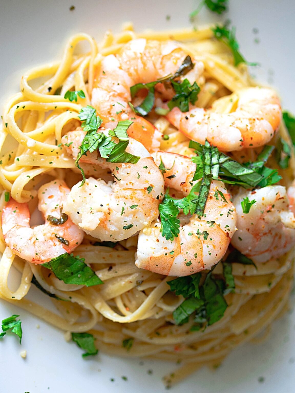 Types of Long Pasta: 15 Must-Try Options | Spice and Life