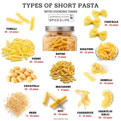 Types of Long Pasta: 15 Must-Try Options | Spice and Life